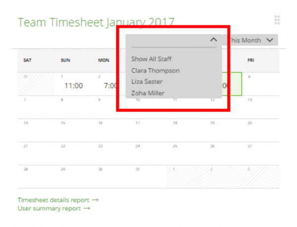Team Timesheet – Zistemo Knowledge Base