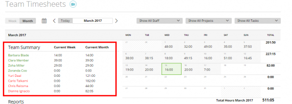 Team Timesheet: Monthly and Weekly View – Zistemo Knowledge Base
